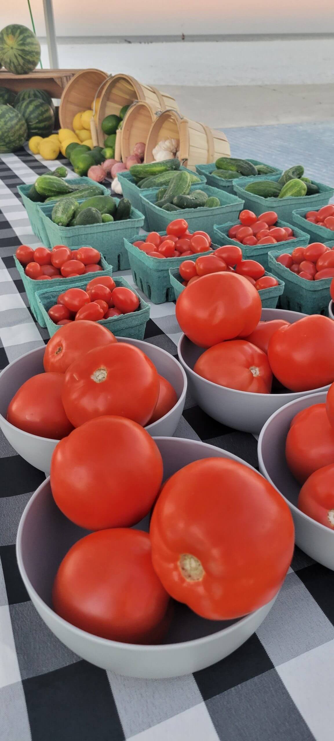 Santini Farmers Market - Fort Myers Beach Chamber